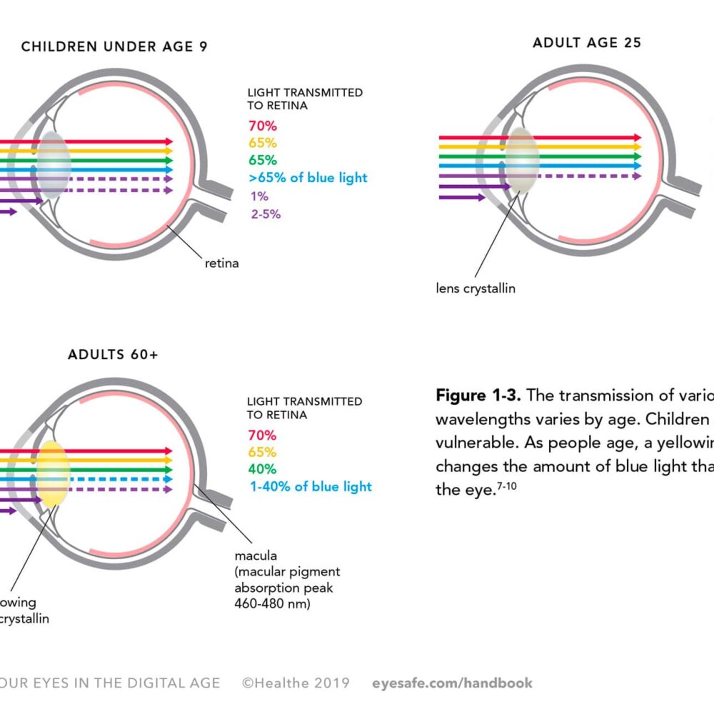 Chapter 1 - A Close Look at Our Eyes | Eyesafe