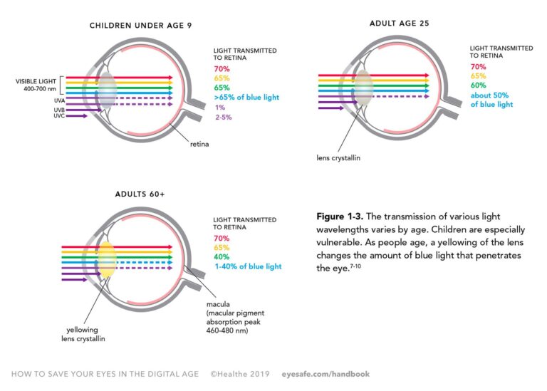 Chapter 1 - A Close Look at Our Eyes | Eyesafe