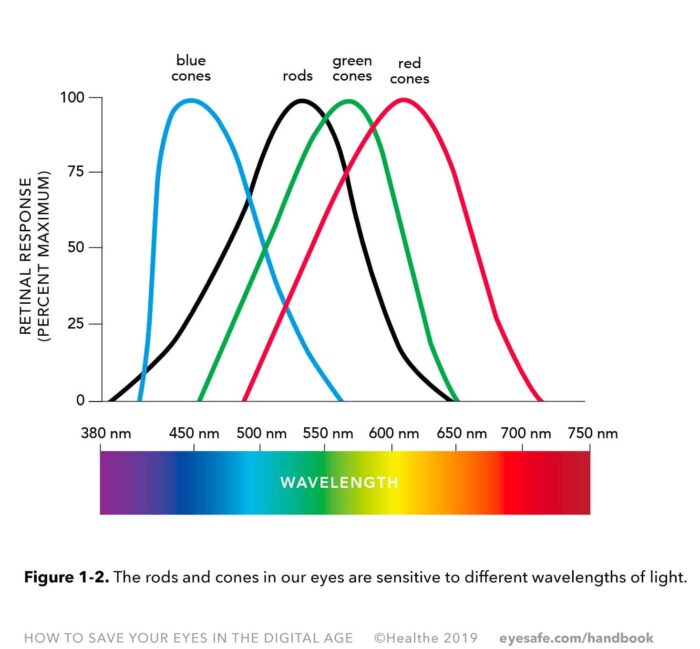 Chapter 1 - A Close Look at Our Eyes | Eyesafe