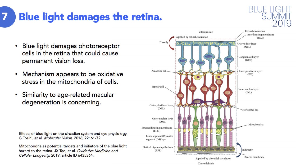 Blue Light Summit 2019 Transcript | Eyesafe